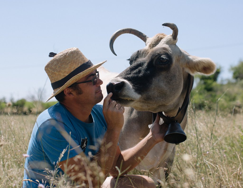 Olivier Pithon, Languedoc-Roussillon, France - Integrity Wines